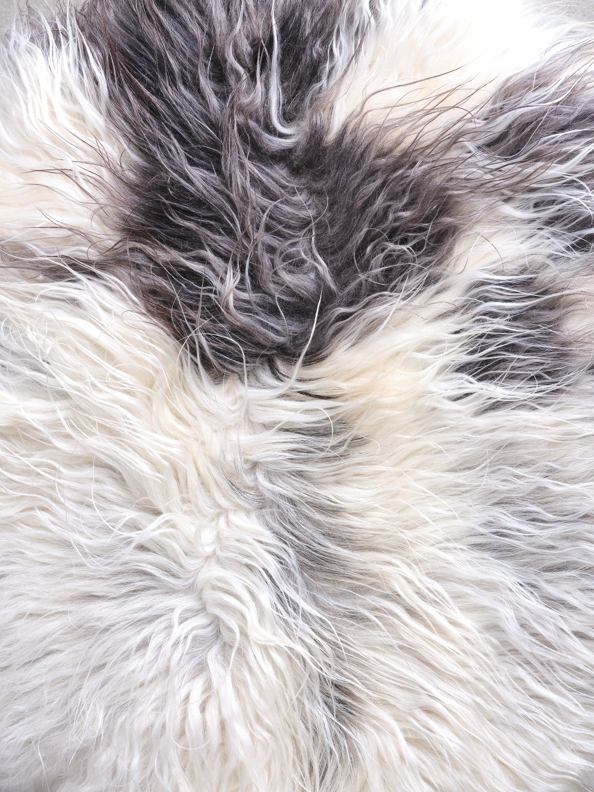 Goatskin Natural Grey – Grand Splendid