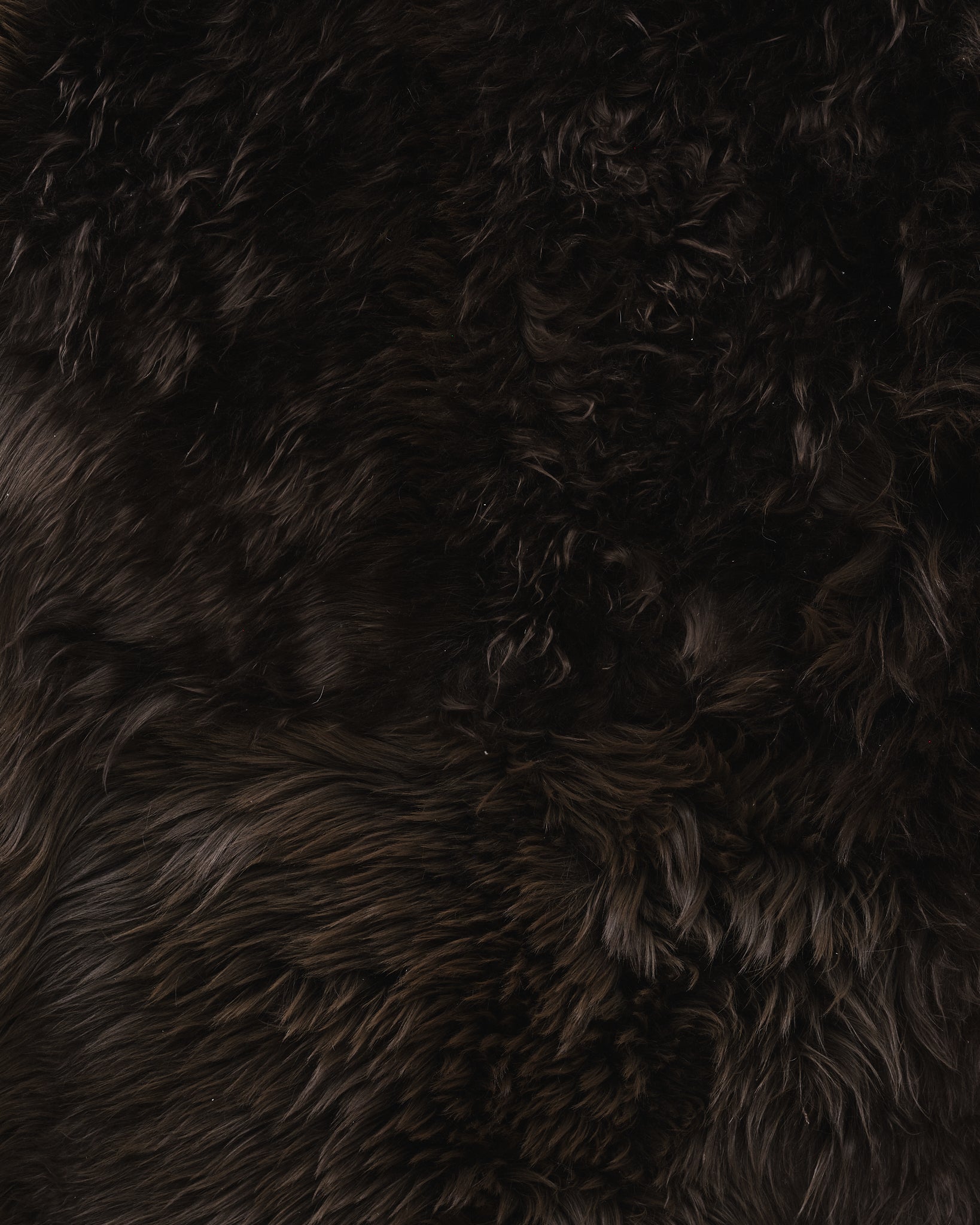 Hickory Goatskin – Grand Splendid